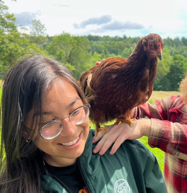 JD Peace: A Creative Software Engineer Building MedTech Solutions - Orthogonal